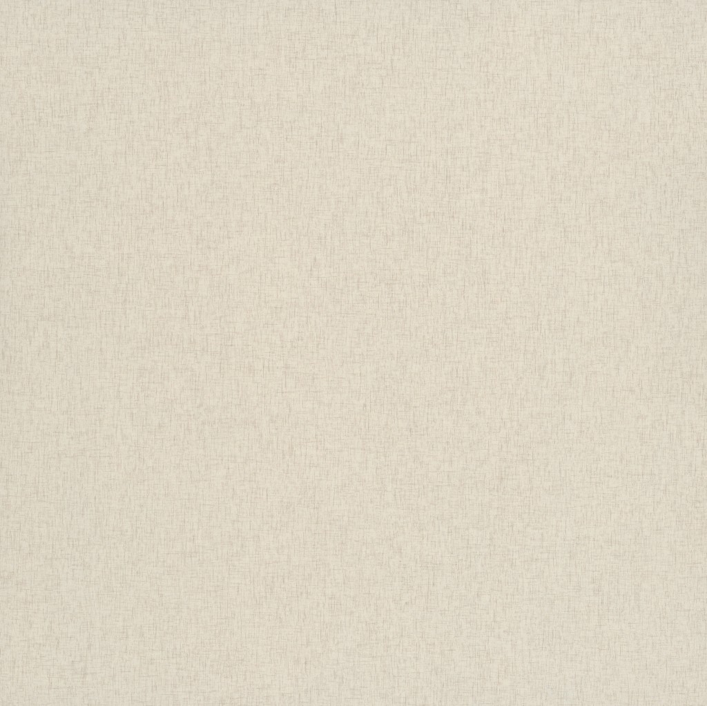 Pionite - Plastic Laminate | Forst Plywood