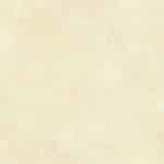 Pionite - Plastic Laminate | Forst Plywood