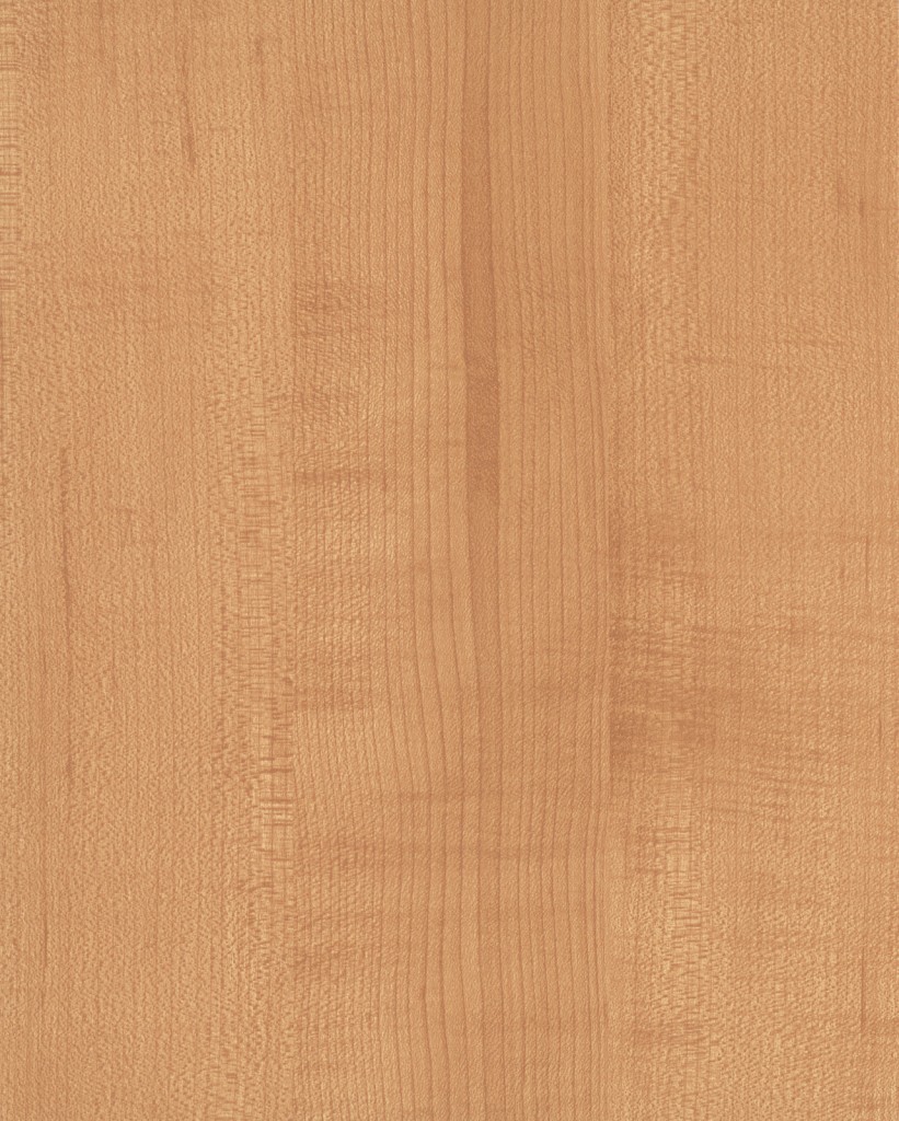 Latte Maple