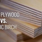 All About Baltic Birch Plywood - Forests Plywood