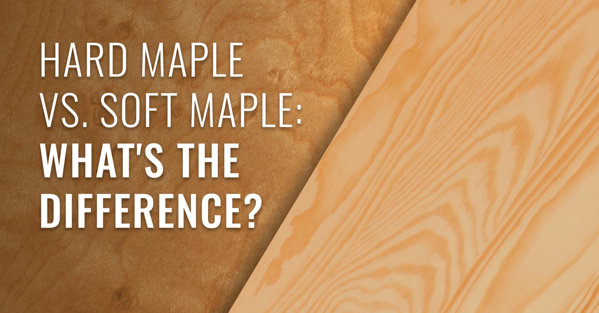 Hard Maple vs. Soft Maple - Forest Plywood